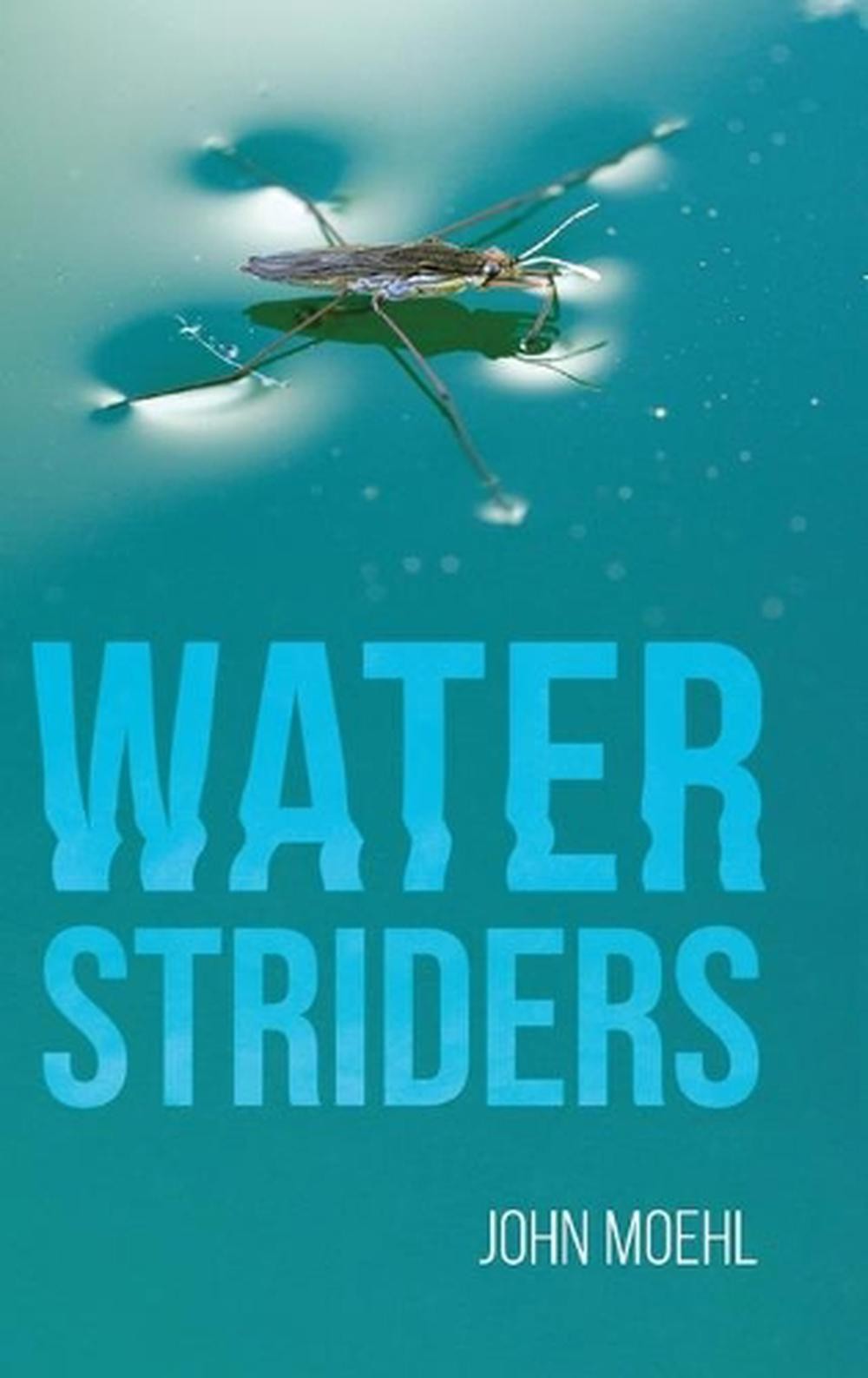 Water Striders by John Moehl (English) Hardcover Book 9781666721508| eBay