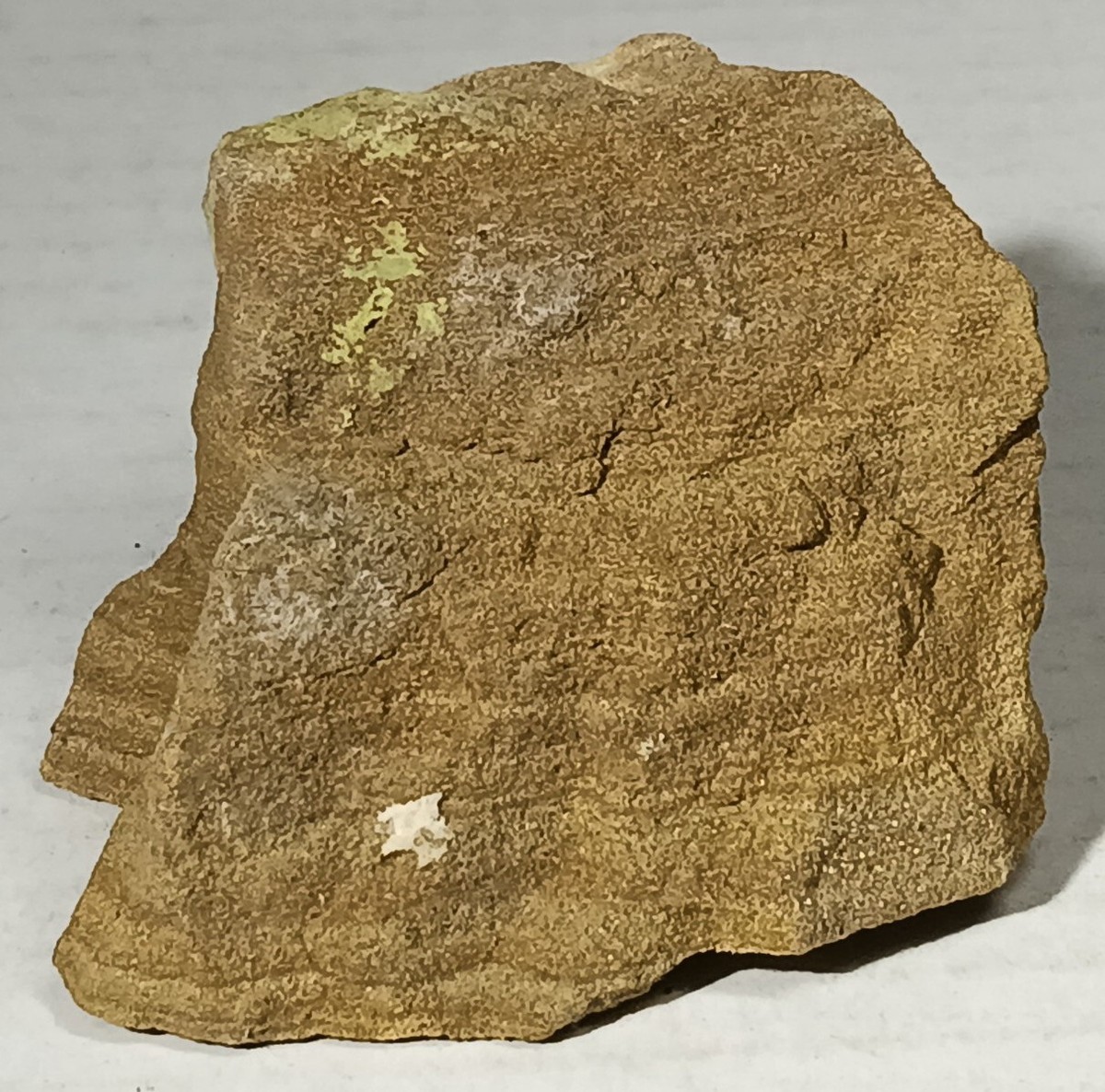 Sandstone Sedimentary Rock