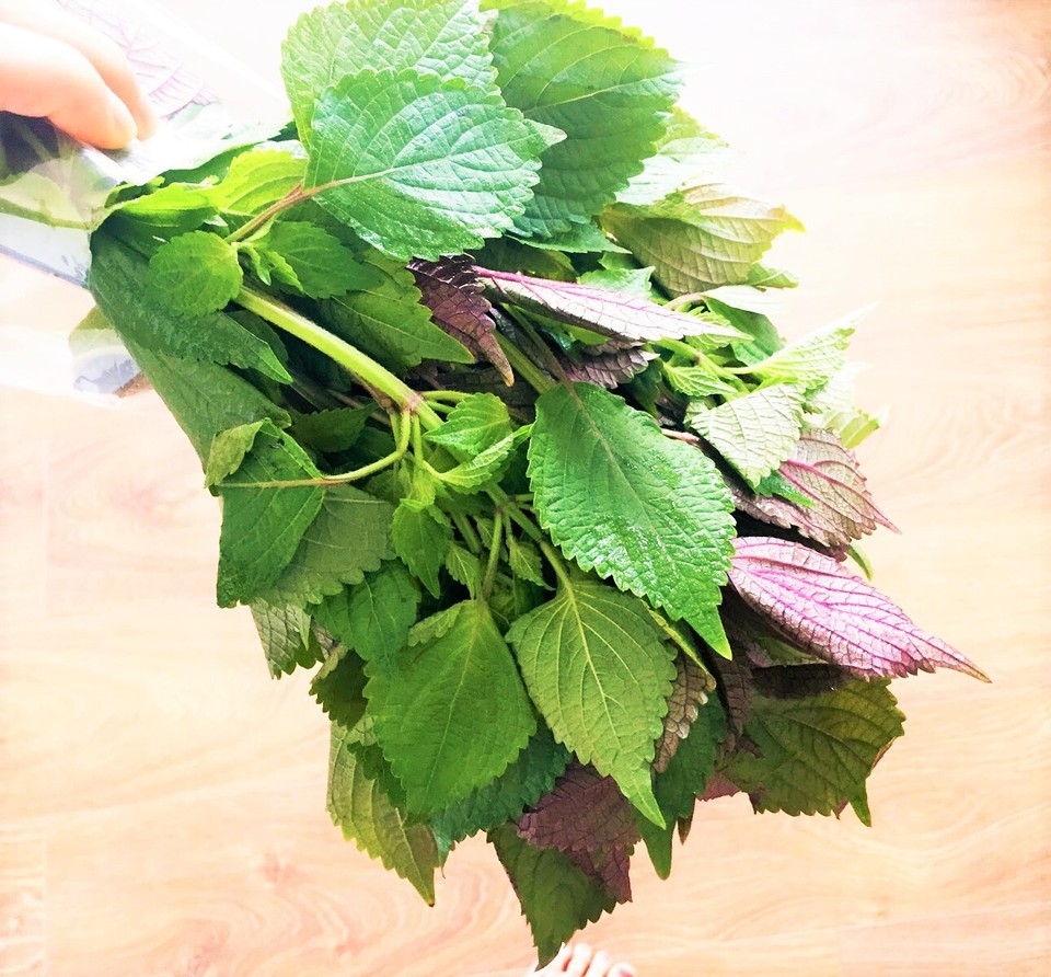 Vietnamese Perilla (Shiso) Seeds | La Tía Tô Asian Mint Thai Basil Seed ...