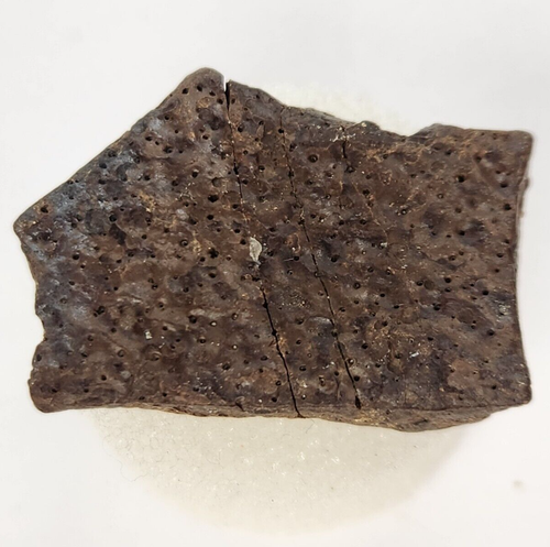 Cretaceous Turtle Shell Fossil - Testudines - Judith River Fm. - Hill ...