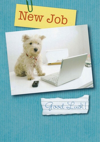 Good Luck in your New Job - Cute Westie Dog at the Office 5026309001017 ...