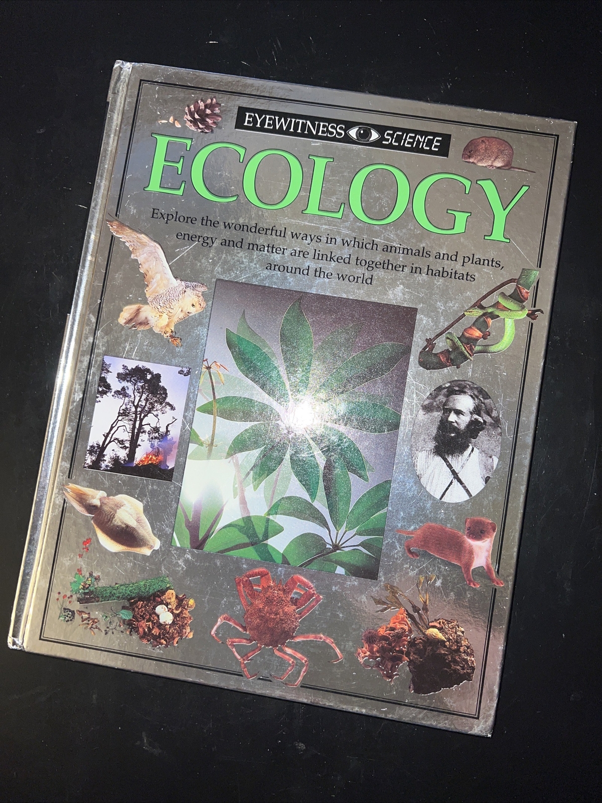ECOLOGY (EYEWITNESS SCIENCE) By Steve Pollock Mint Condition Hardcover ...