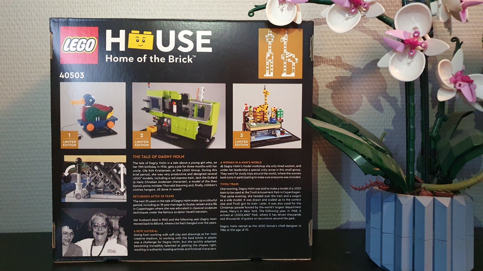 LEGO 40503 Dagny Holm Master Builder - FREE WORLDWIDE SHIPPING ...