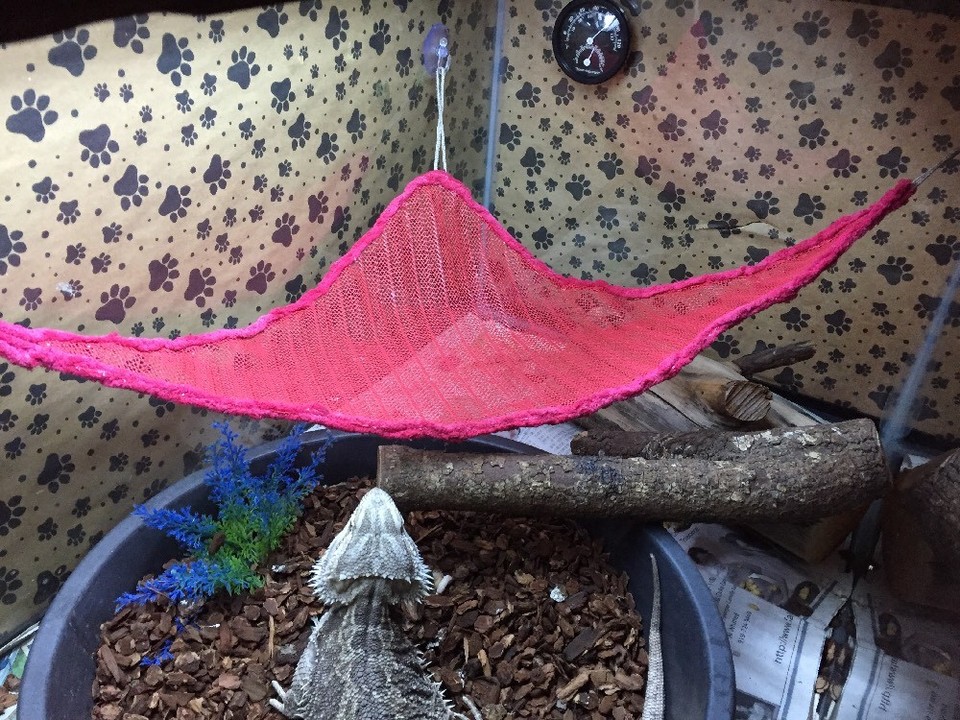 RED LRG ATTACHABLE RESTIN SOFT COMFY HAMMOCK W/PILLOW & BLANKET 4 ...