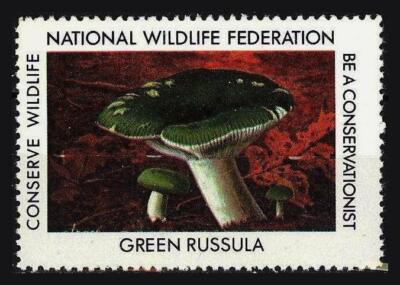 National Wildlife Federation Stamp - 1982 MNH - Green Russula | eBay