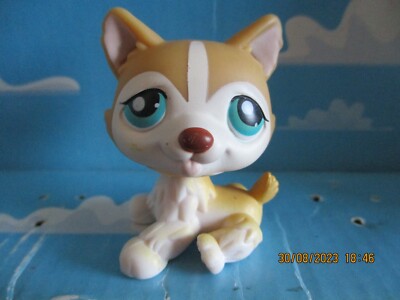 PETSHOP CHIEN HUSKY N°386 / AVEC AIMANT | eBay