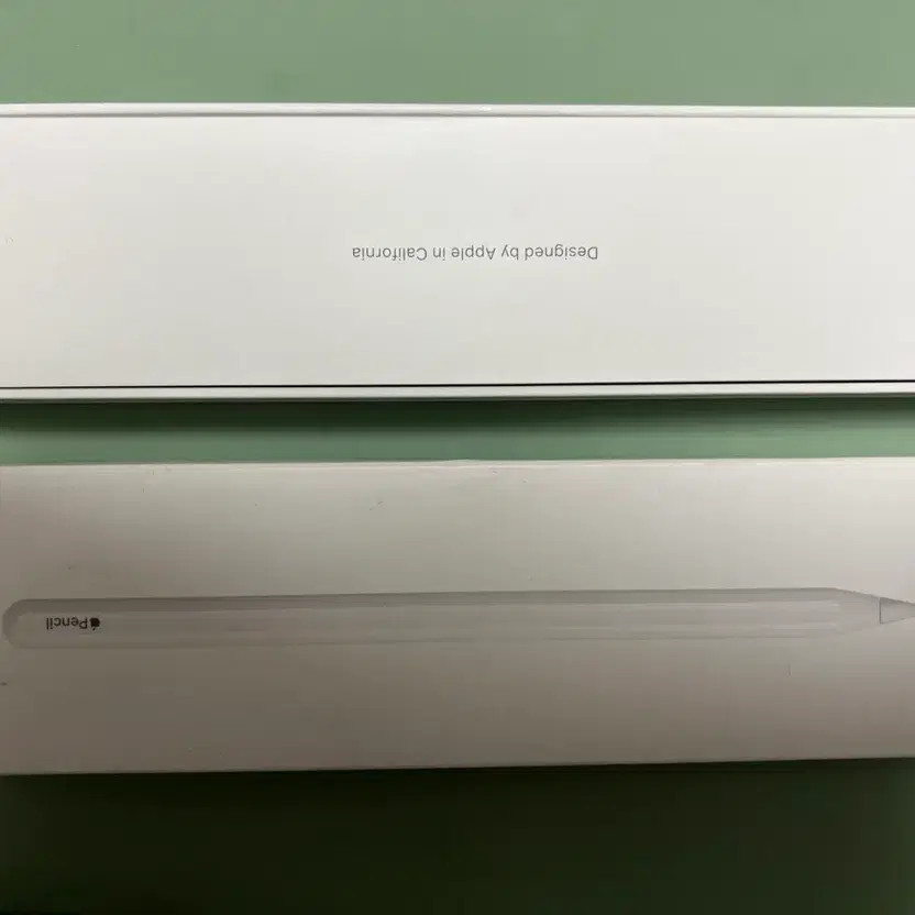 iPad Pencil 2nd Generation - Slightly Used, Includes Case | eBay