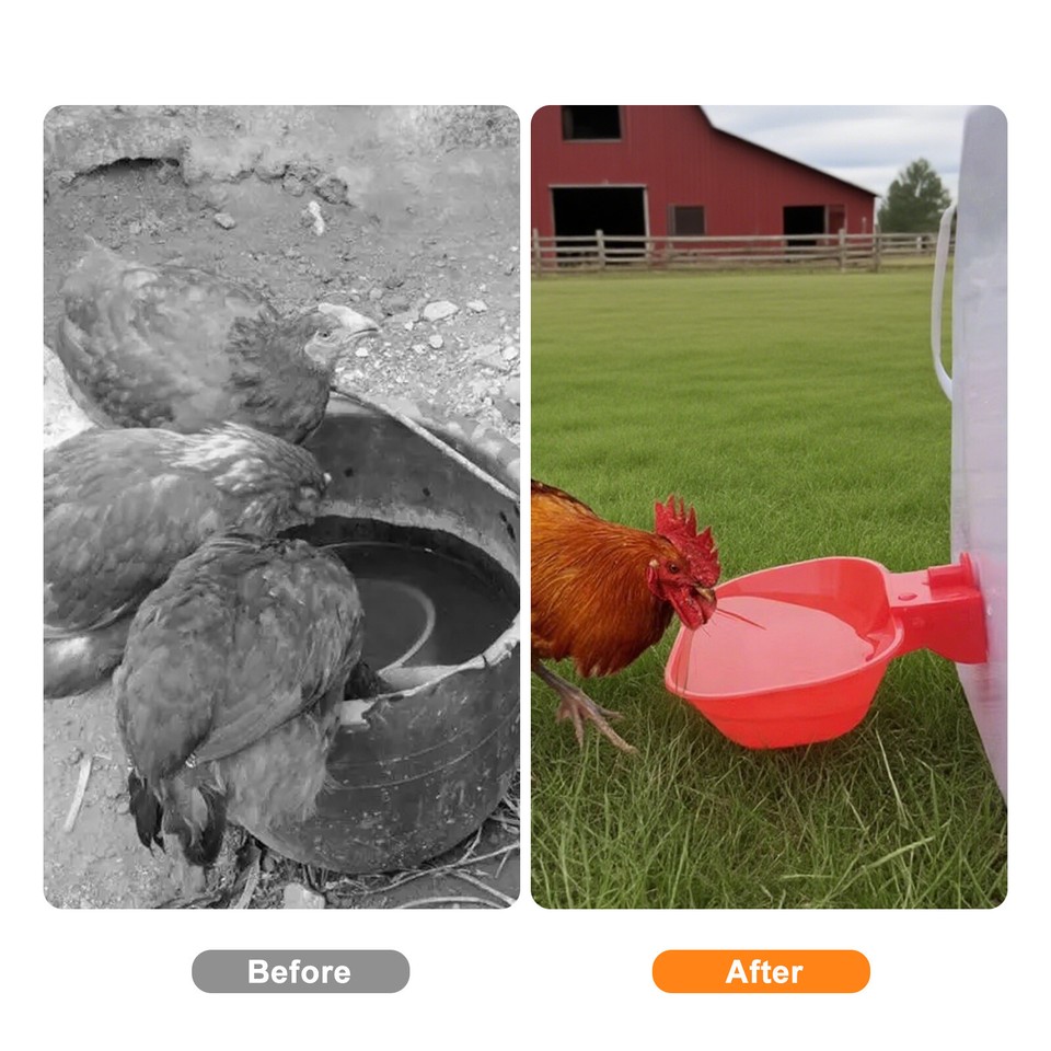 6PCS Red Automatic Chicken Waterer Cups with Drill Bit for DIY Coop ...