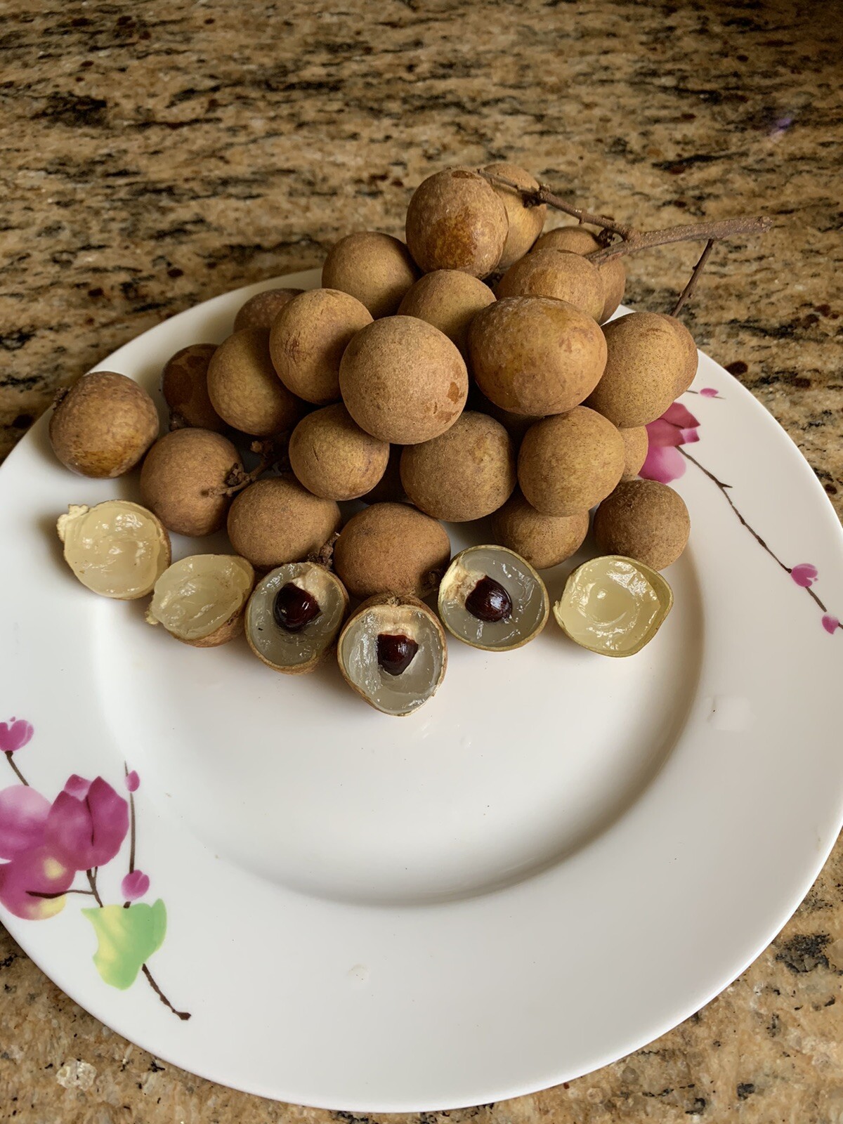 20 Longan Seeds , Dragon Eye Fruit Sweet Delicious , 2025 Season , in ...