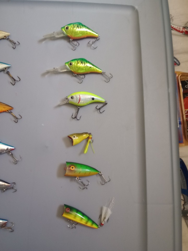 Lot of 12 Fishing Lures Top Water Crank Rattle Traps Pre-owned | eBay