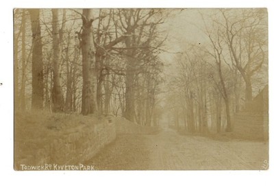 Yorkshire. Todwick Road, Kiveton Park. R/P. Posted in 1905. | eBay UK