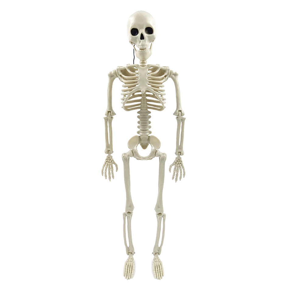 Skeleton Poseable Joints Halloween Party Realistic Full Body Posable ...