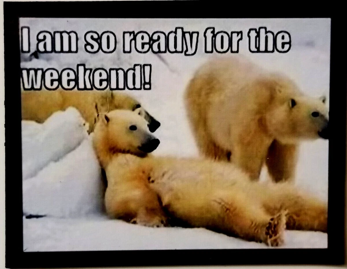 Funny Ready For The Weekend Quotes
