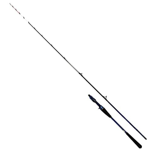 Daiwa Fishing Rod Ship Rod Extremely Tachio Tenya SP 73-190AGS Fishing ...