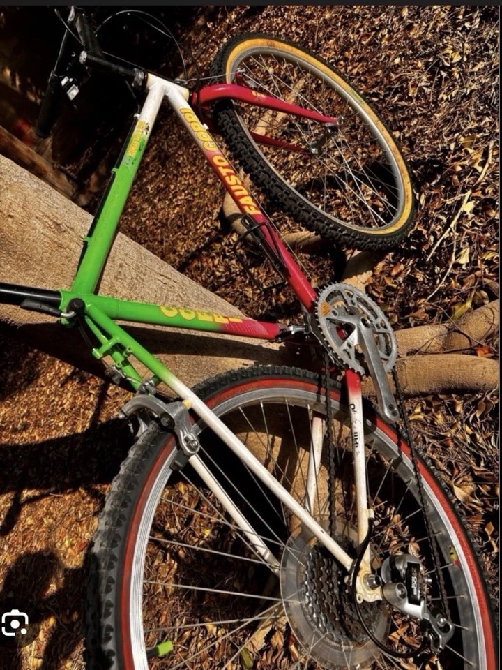 Fausto Coppi Mtb Vintage No Colnago Klein | eBay