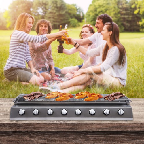 8-Burner Gas Grill Outdoor Backyard BBQ Party Camping BBQ 201 Stainless ...