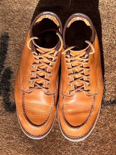 RED WING 8E GOLD RUSSET SEQUOIA 9875 RARE Japan Release | eBay