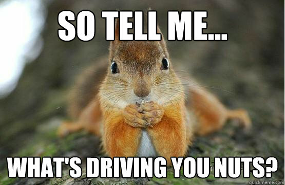 Smart Car Squirrel Memes Free AI Video Generator Turn Text & Image