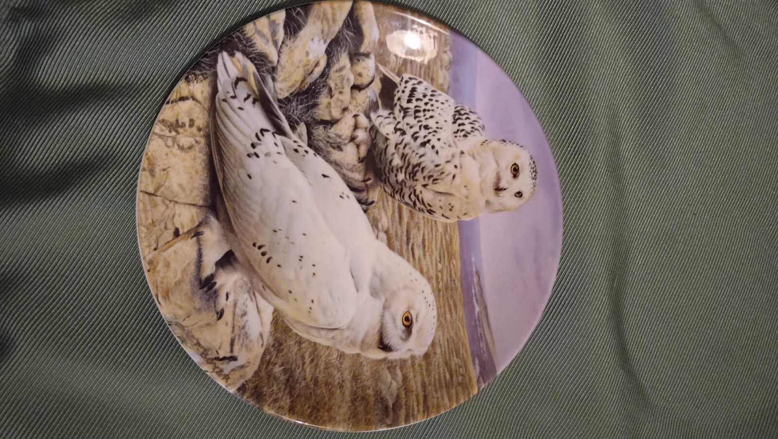The Majesty Of Owls Snowy Owls Plate | eBay UK