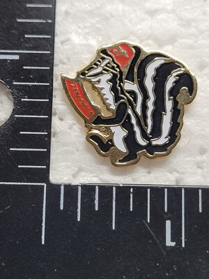 SHRINERS SKUNK HAT LAPEL PIN PIN BACK USED (Y2520) | eBay