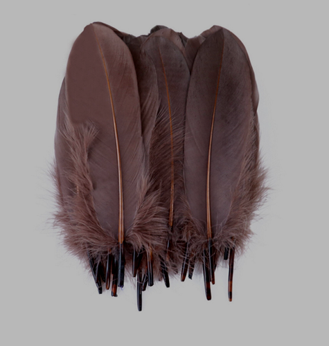 Brown Goose Feathers 6-8" 12 Pc Wedding Millinery Crafts Decoration | eBay