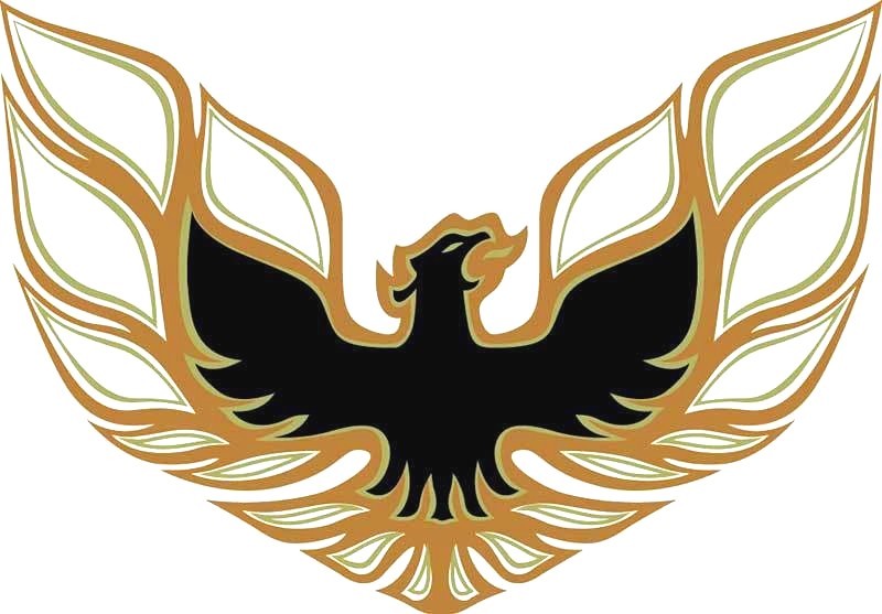 1973-78 TRANS AM COMPLETE DECAL KIT - GOLD w 1 PC HOOD BIRD -GM LIC ...