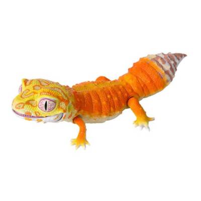 Japan Q Leopard gecko lizard PVC Action Figure model with joints (10cm ...