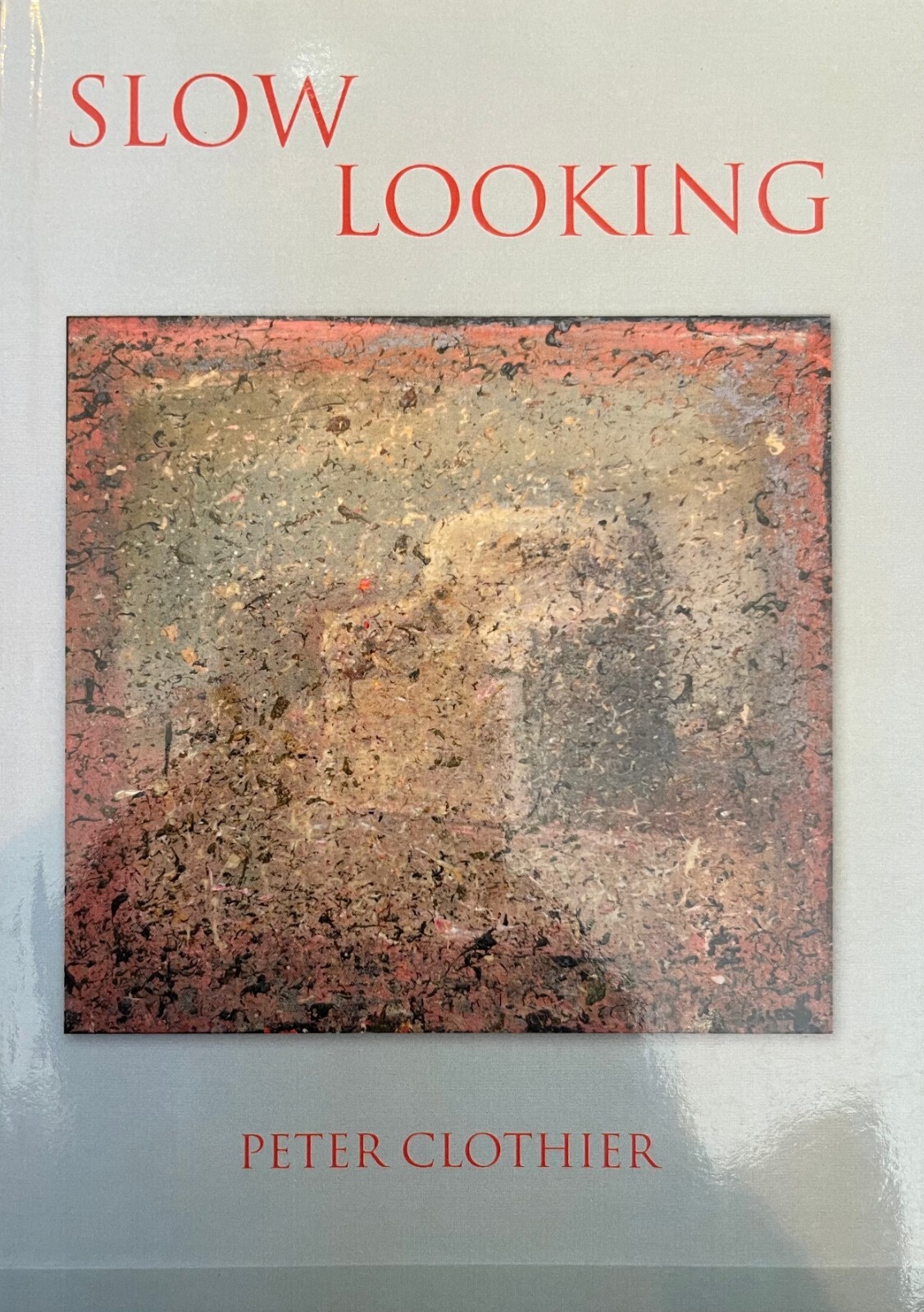 Slow Looking by Peter Clothier | eBay