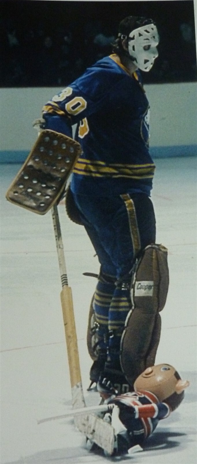 NHL HOCKEY PHOTO PRINT GOALIE BUFFALO SABRES DAVE DRYDEN | eBay