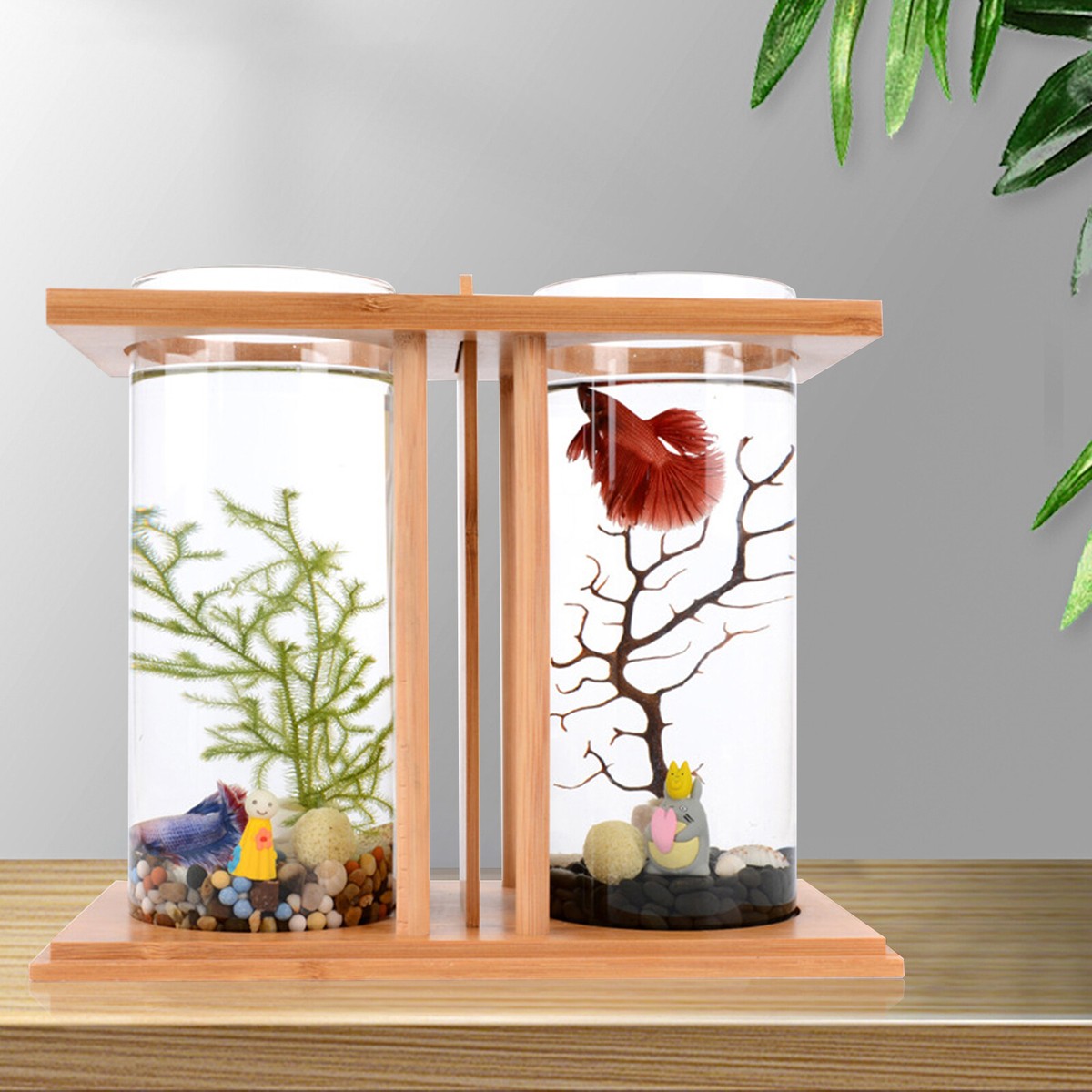Diy Betta Fish Tanks