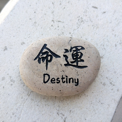 Destiny Engraved Kanji Inspirational Japanese / Chinese Character ...