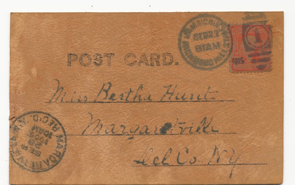 Richmond Hill L.I. NY * Leather Post Card 1905 “I Am All Alone” | eBay