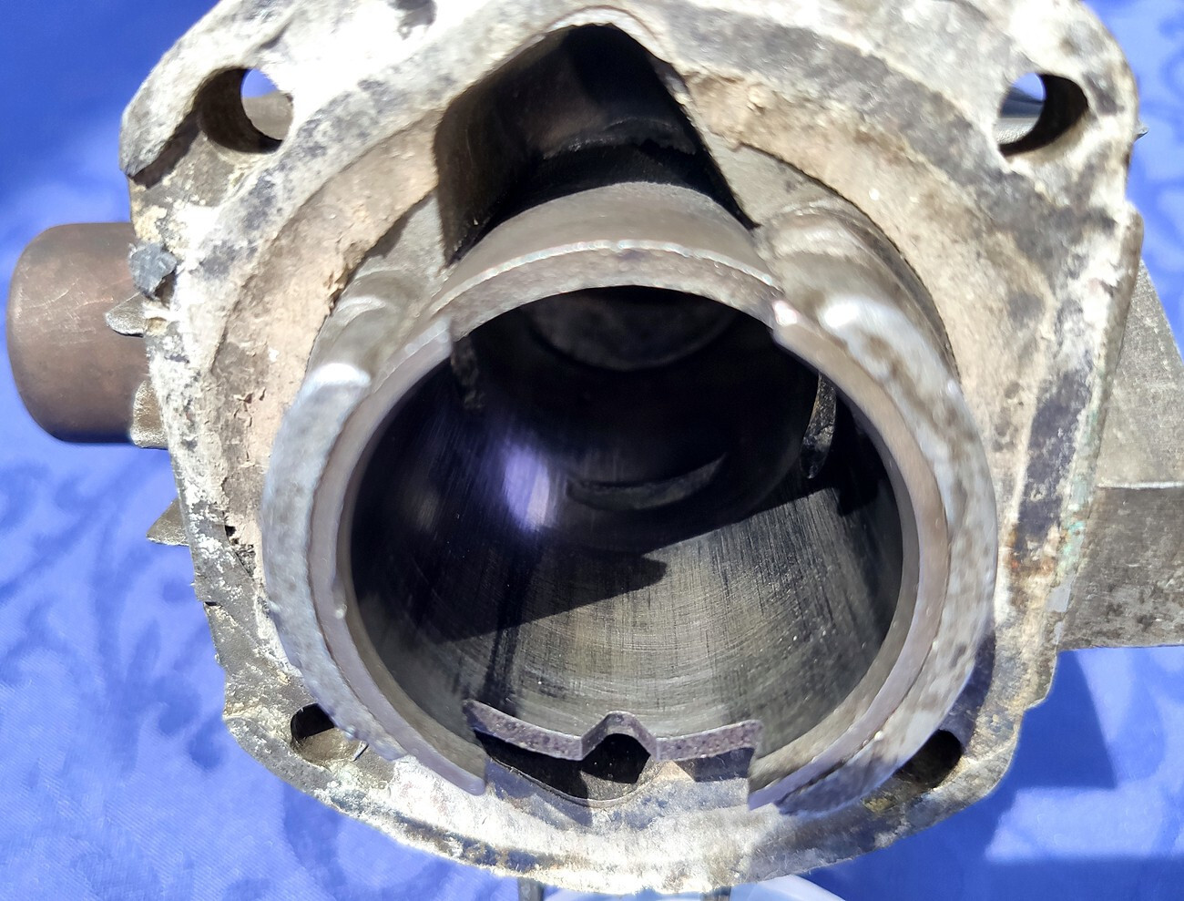 Sachs Zylinder 0213 146 280 b1 Hercules, KTM, Rixe, 505/2 Prima M 5 6 ...