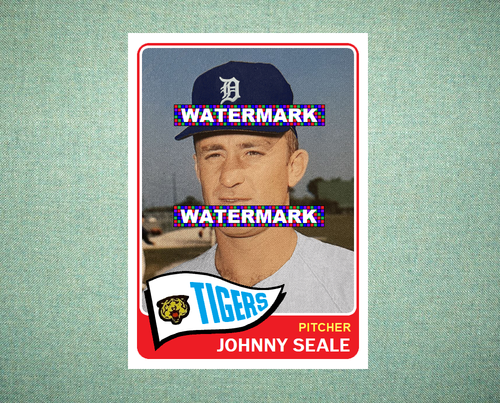 Johnny Seale Detroit Tigers 1965 Style Custom Baseball Art Card | eBay