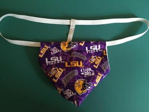 Mens LOUISIANA STATE UNIVERSITY LSU String Thong Male Underwear | eBay