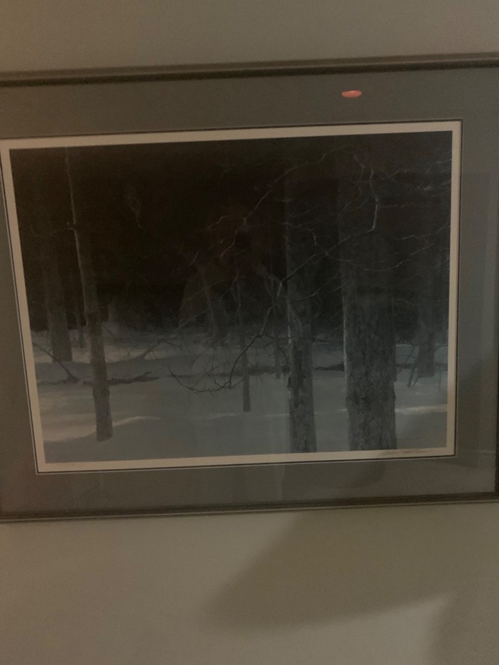 Midnight - Black Wolf by Robert Bateman, Signed Limited Lithograph ...