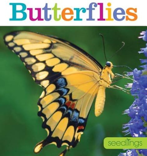 Seedlings: Butterflies by Aaron Frisch: New 9781628320398| eBay