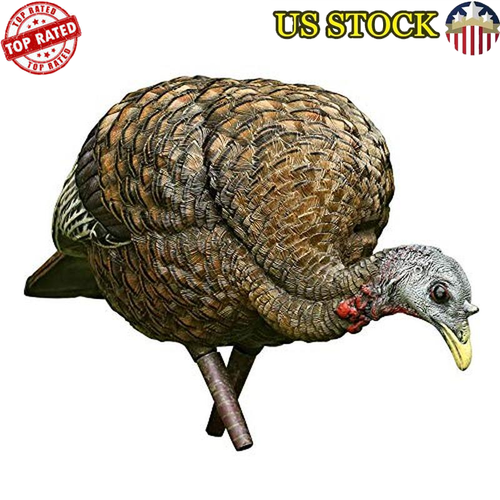 LCD Feeder Hen Turkey Decoy Realistic Durable Collapsible Hunting Decoy ...