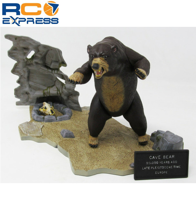 Prehistoric Cave Bear Ancient Humans Were Skinning Bears For Fur