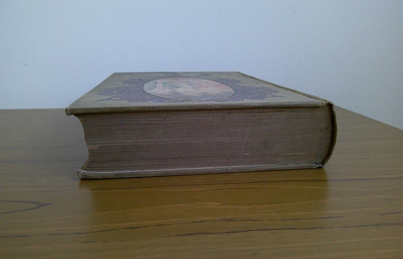 Aunt Jane's Nieces at Work by Edith Van Dyne [L Frank Baum] early ed ...