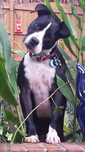 CRISPYDIGITS | eBay Stores