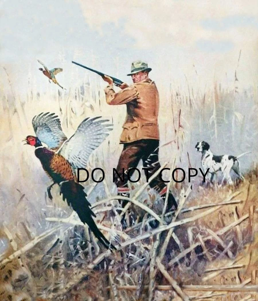 Pheasant Hunting Art