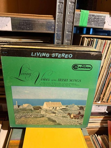 Living Voices – Sing Irish Songs Vintage VG+ AB84 | eBay