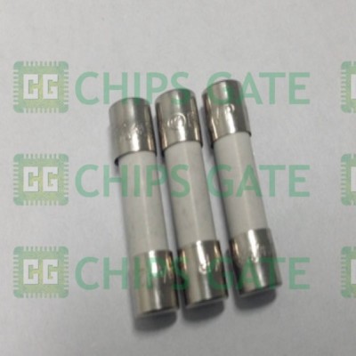 30PCS T1AH250V Ceramic Body Time-Lag Axial Lead Fuse | eBay