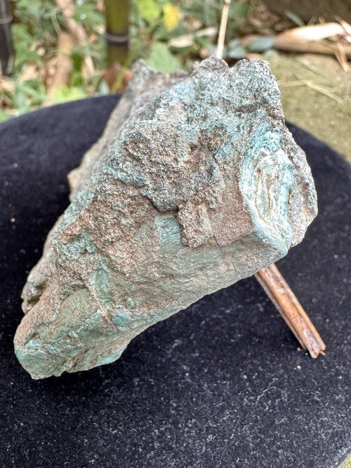 Hampton Butte Green Mineral Limb Cast- Fossil In Native Matrix | eBay