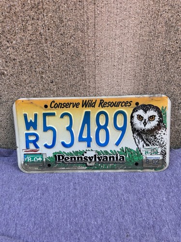 Expired PA Pennsylvania License Plate - CONSERVE WILD RESOURCES | eBay