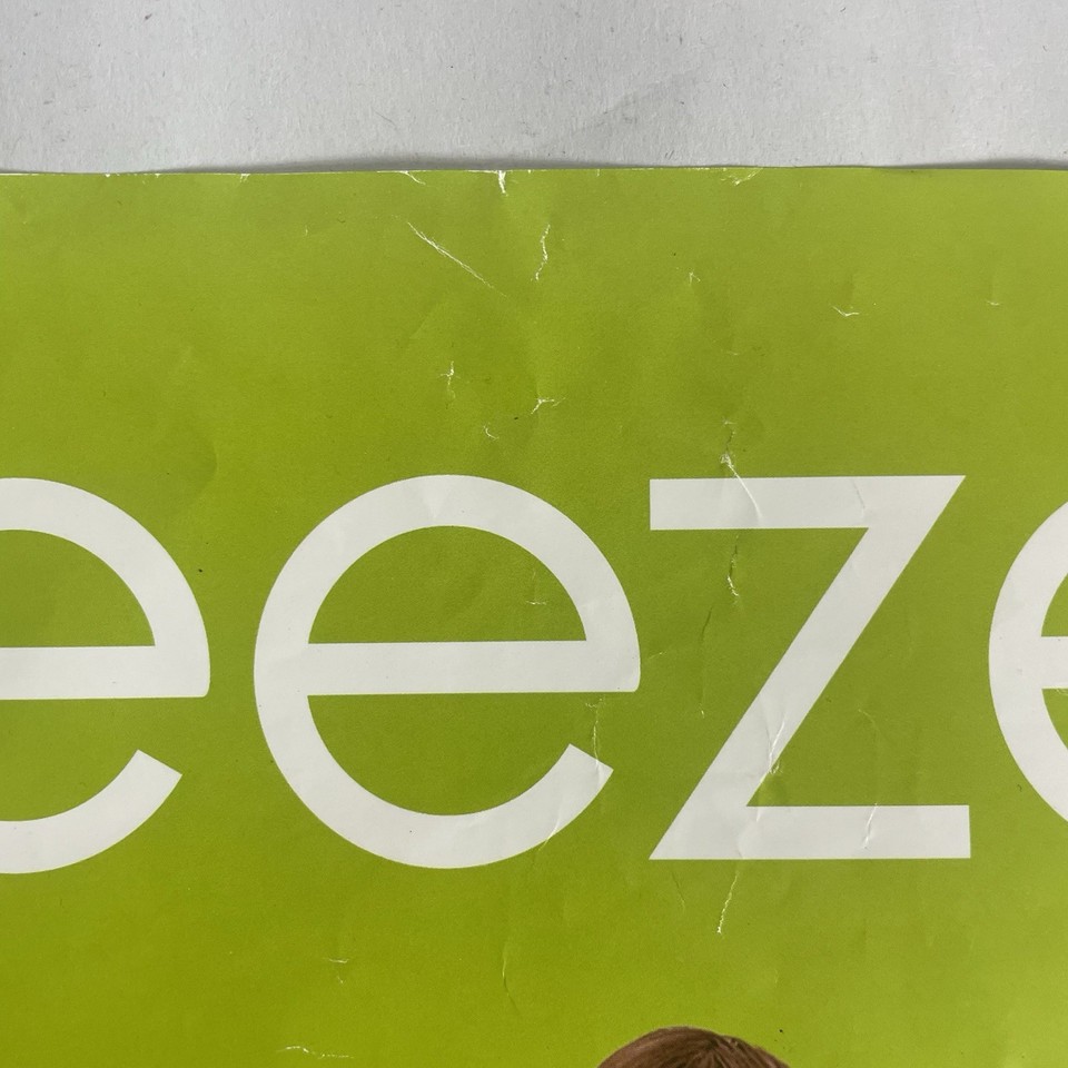 Weezer 2001 Promo Poster Green Album Geffen USA 11x17 Band Music Alt ...