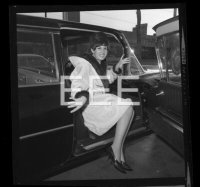 1969 Dove DeGarno FUR Movie Actress Model Harry Langdon Negative w ...