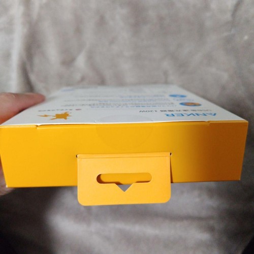 Pokemon x Anker Pikachu Raichu USB C Chargeur 120W Édition Limitée ...