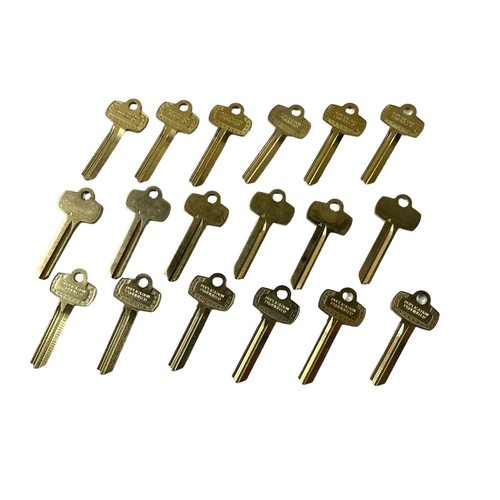 18x ESP 1A1DD1 Key Blanks for Best IC Cores DD Keyway Nickel Silver BE2 ...